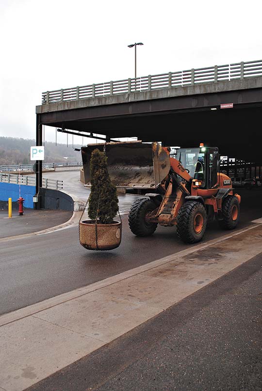 Planting trees | News, Sports, Jobs - The Mining Gazette